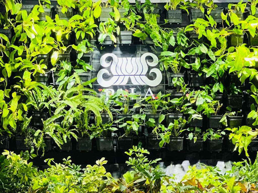 PALA General Assembly 2023 - AJM PLANNING AND DESIGN